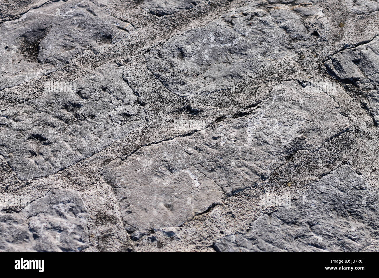 Grey bricks on a path Stock Photo - Alamy