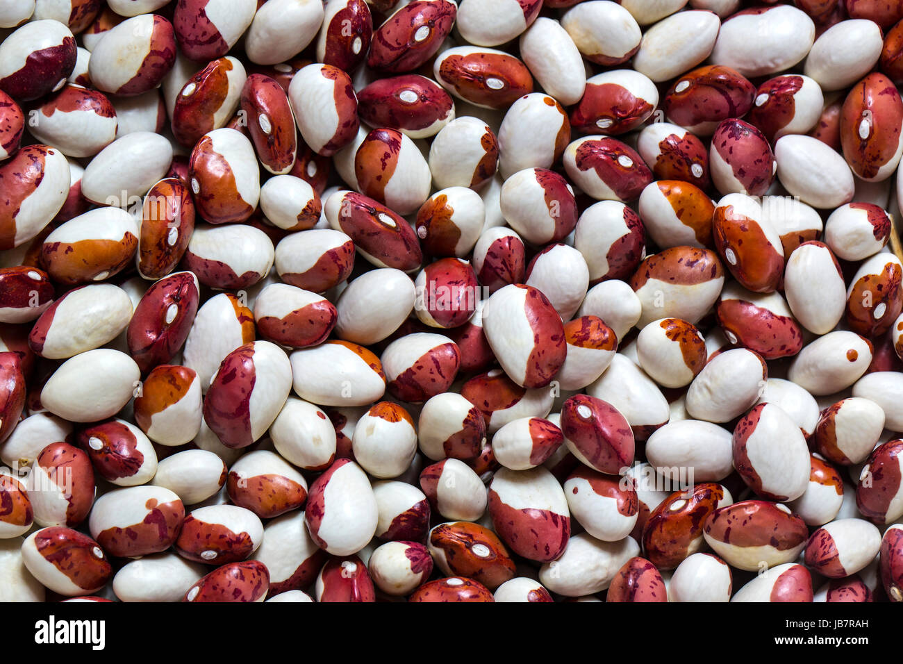 Background of raw beans close up shot Stock Photo - Alamy