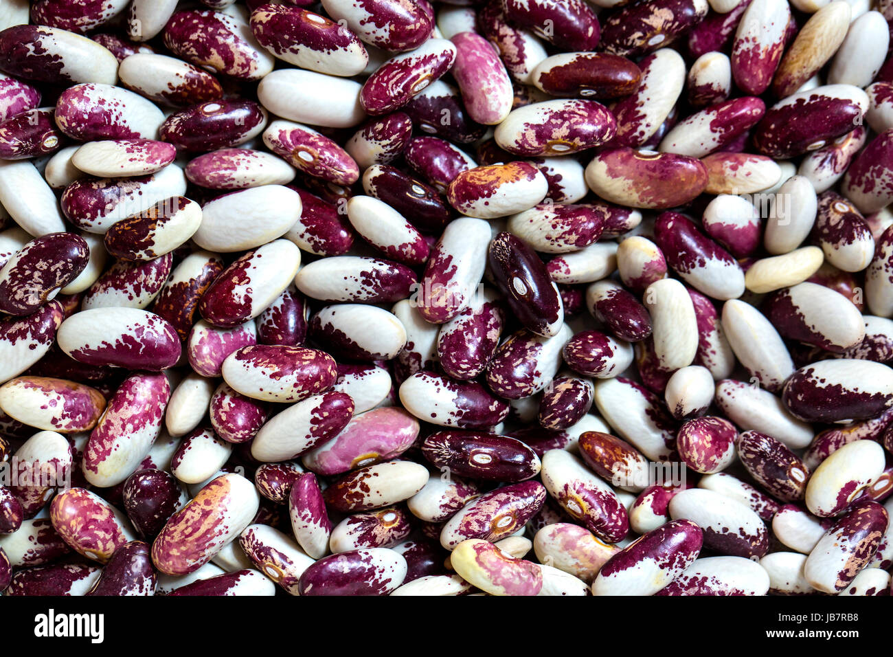 Background of raw beans close up shot Stock Photo - Alamy