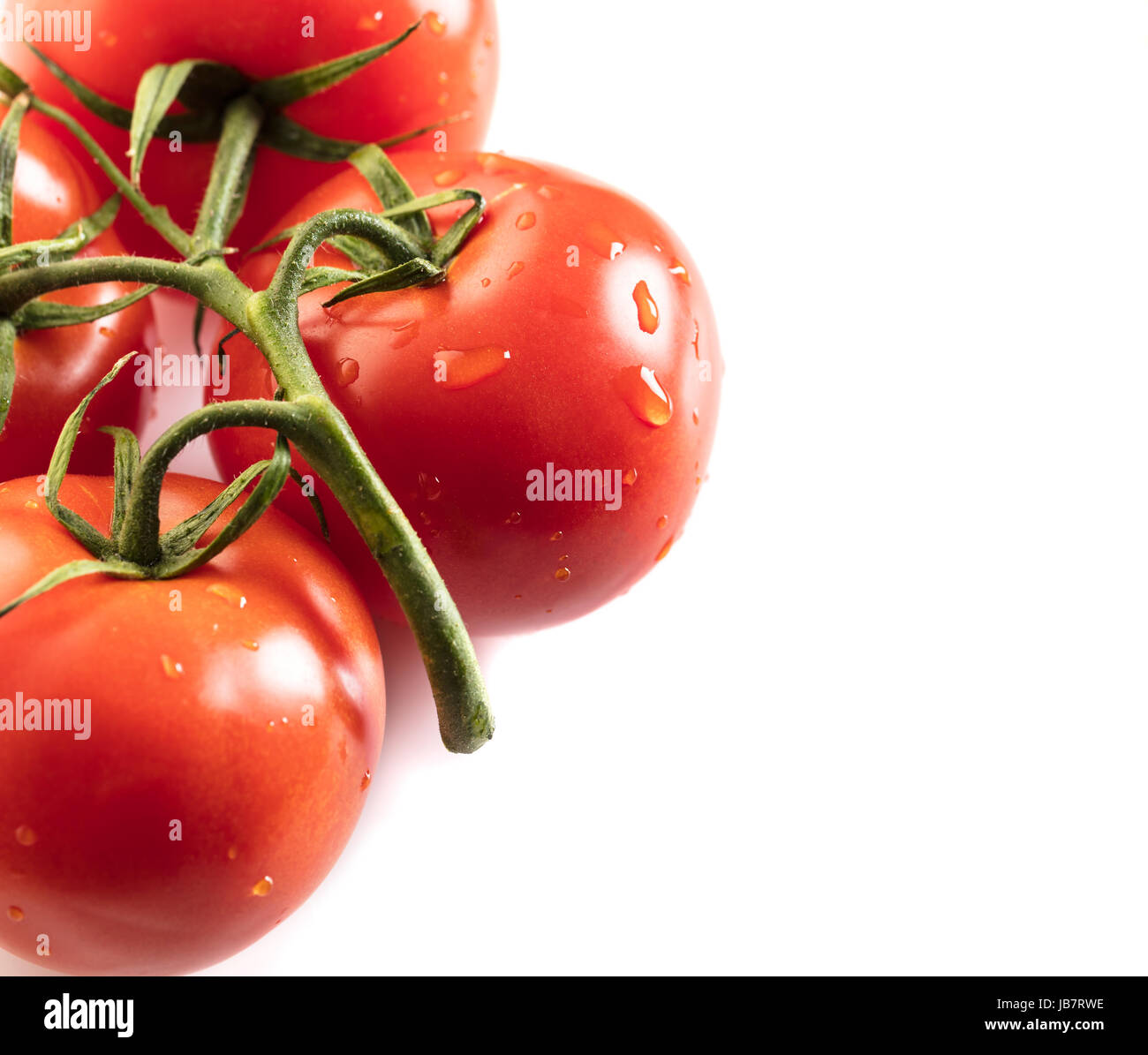 Ripe tomato branch on white isolated background Stock Photo - Alamy