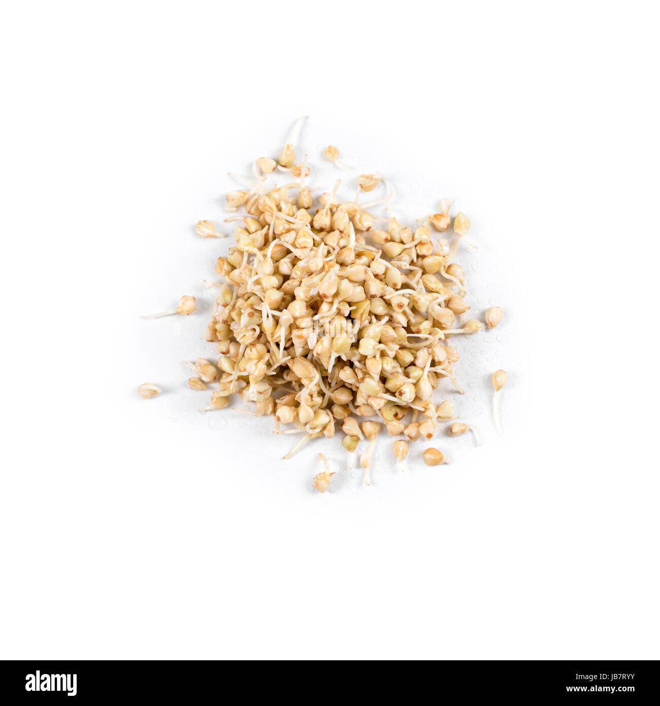 Heap of germinated buckwheat, micro greens on white background. Healthy ...