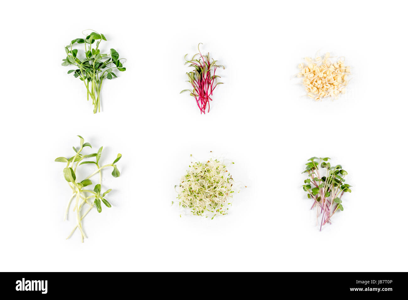 Different types of micro greens on white background. Healthy eating ...