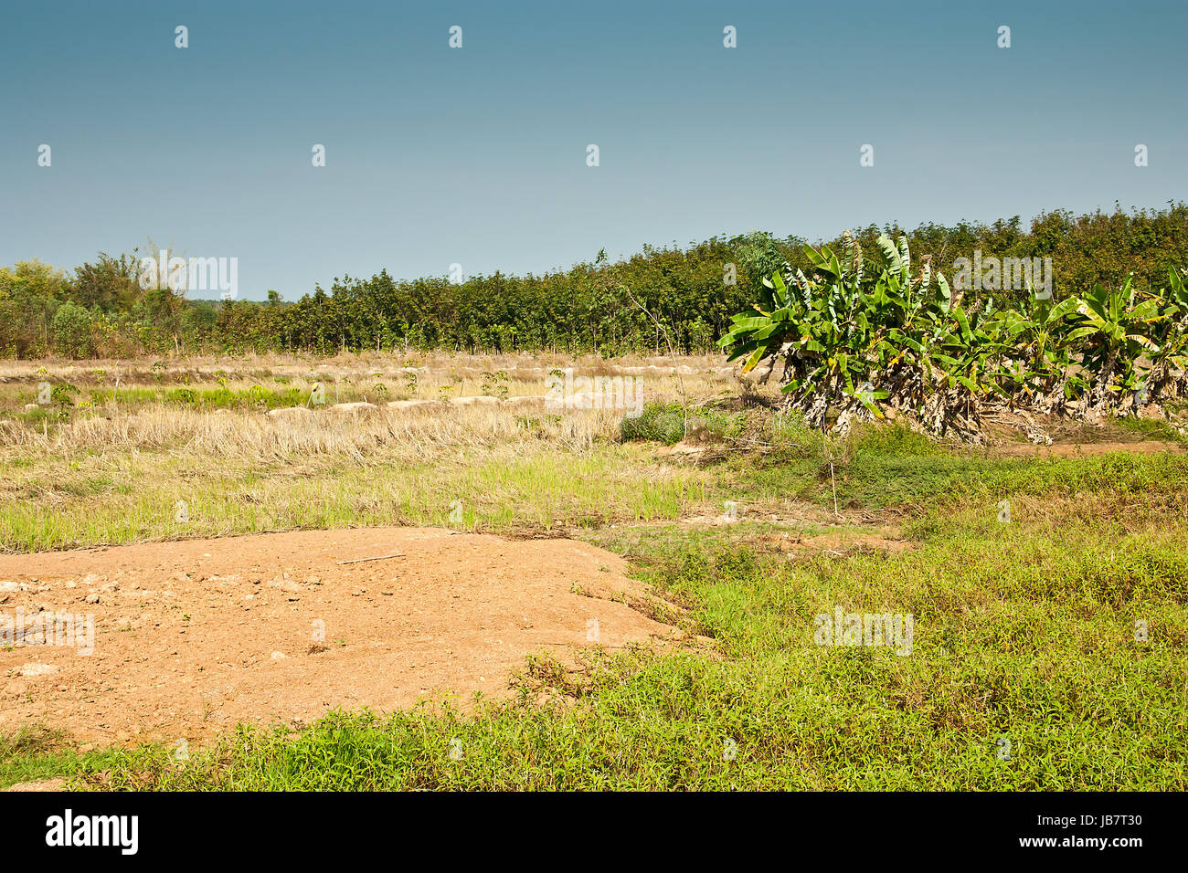 Empty barren land in the countryside Stock Photo - Alamy