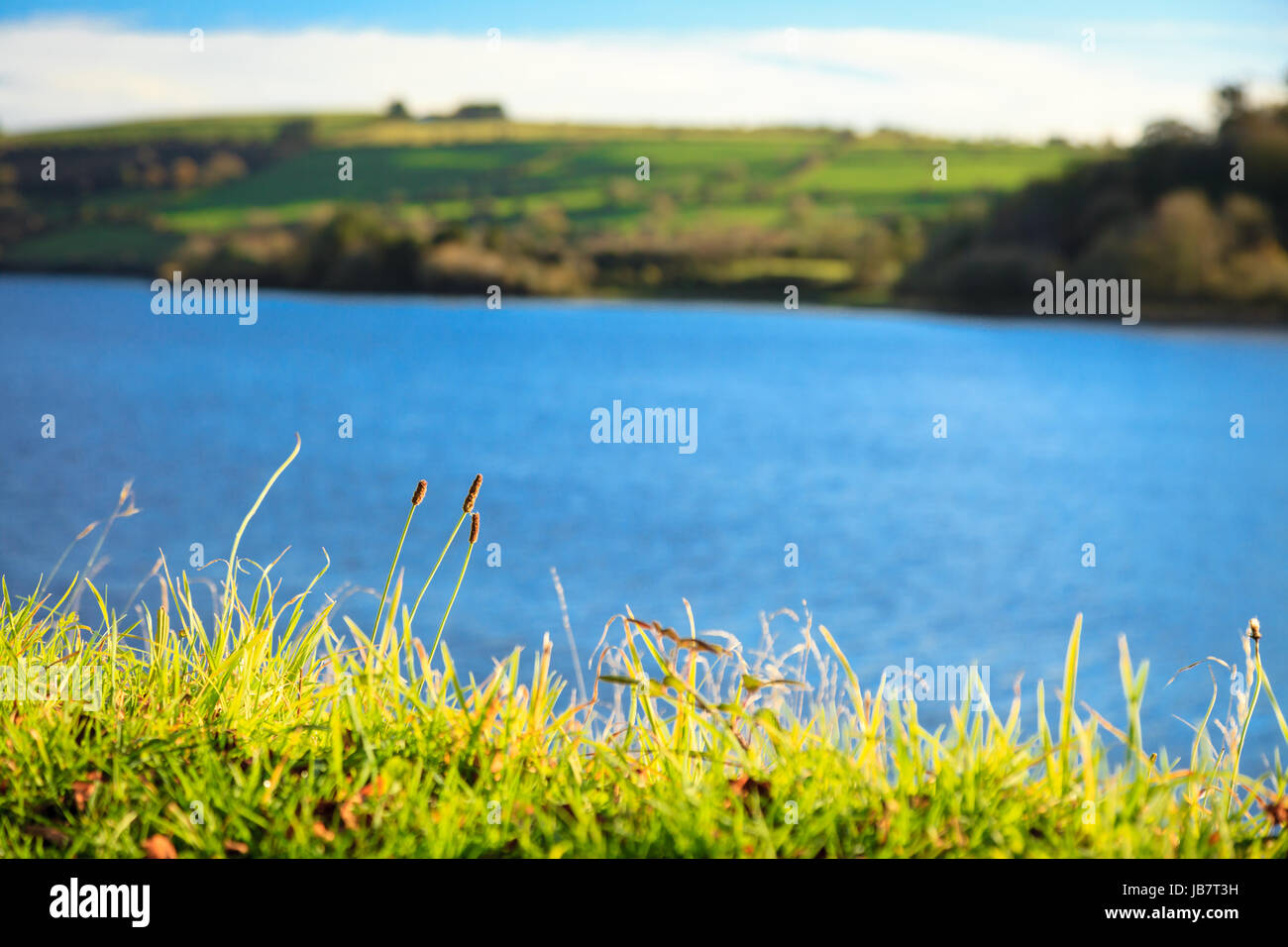 beautiful irish landscape green meadows at calm river Co.Cork, Ireland ...