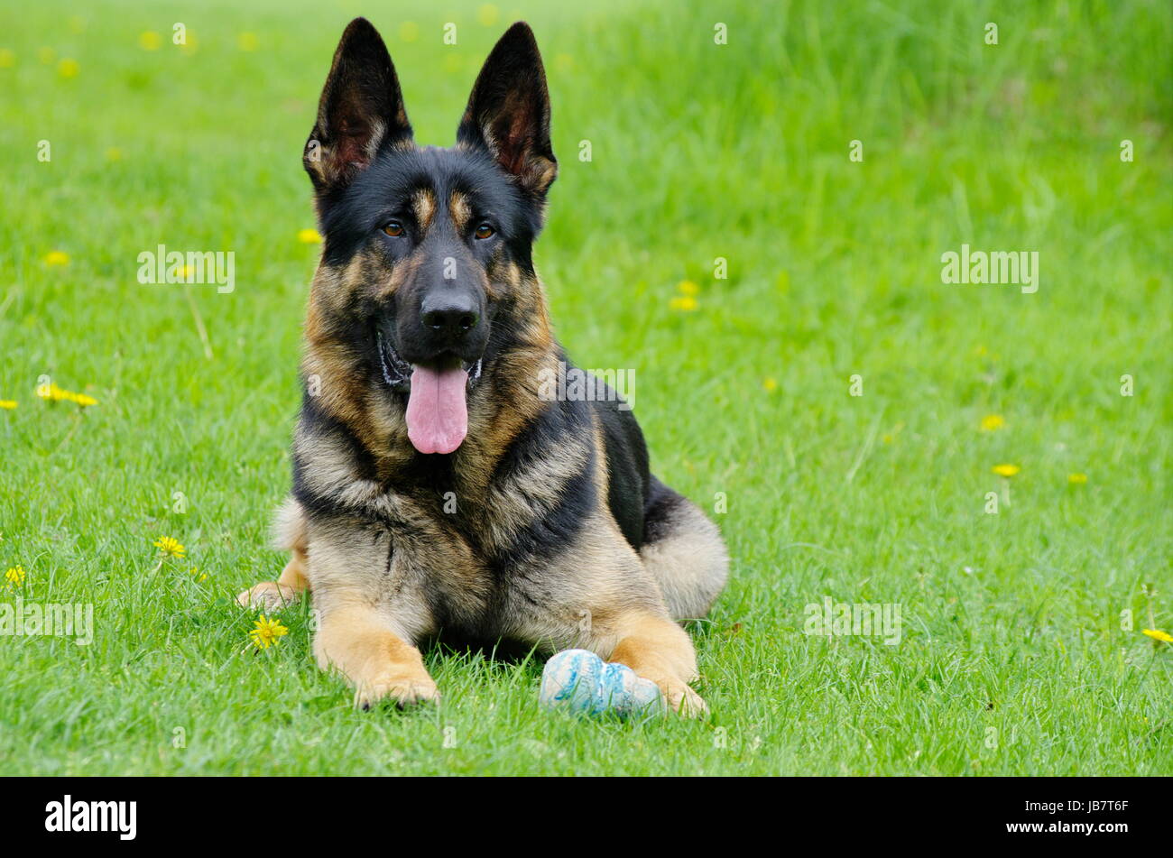 Barko hi-res stock photography and images - Alamy