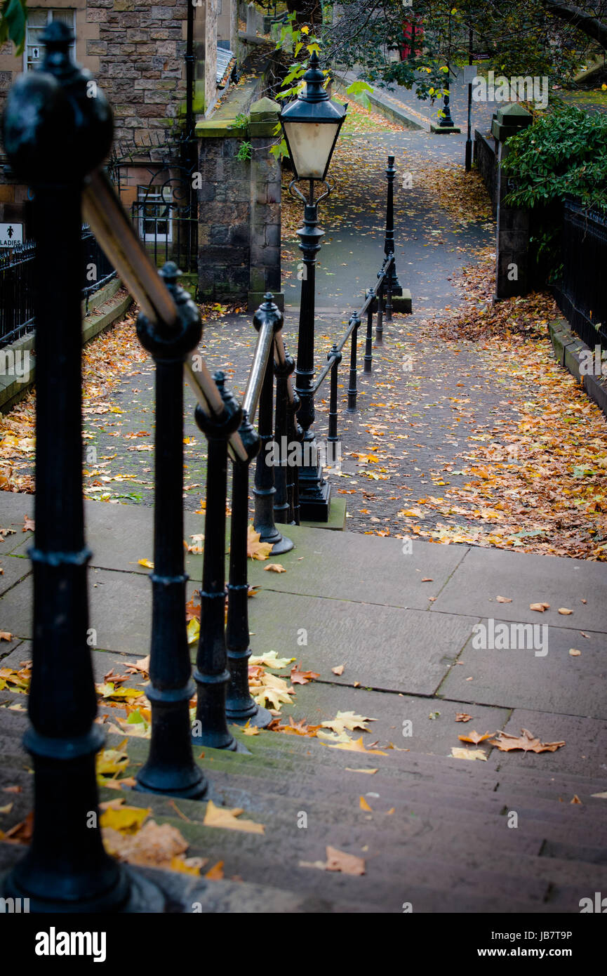 Vennel path in autumn Stock Photo - Alamy