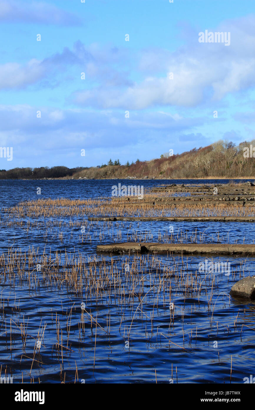 fresh water lake Stock Photo - Alamy