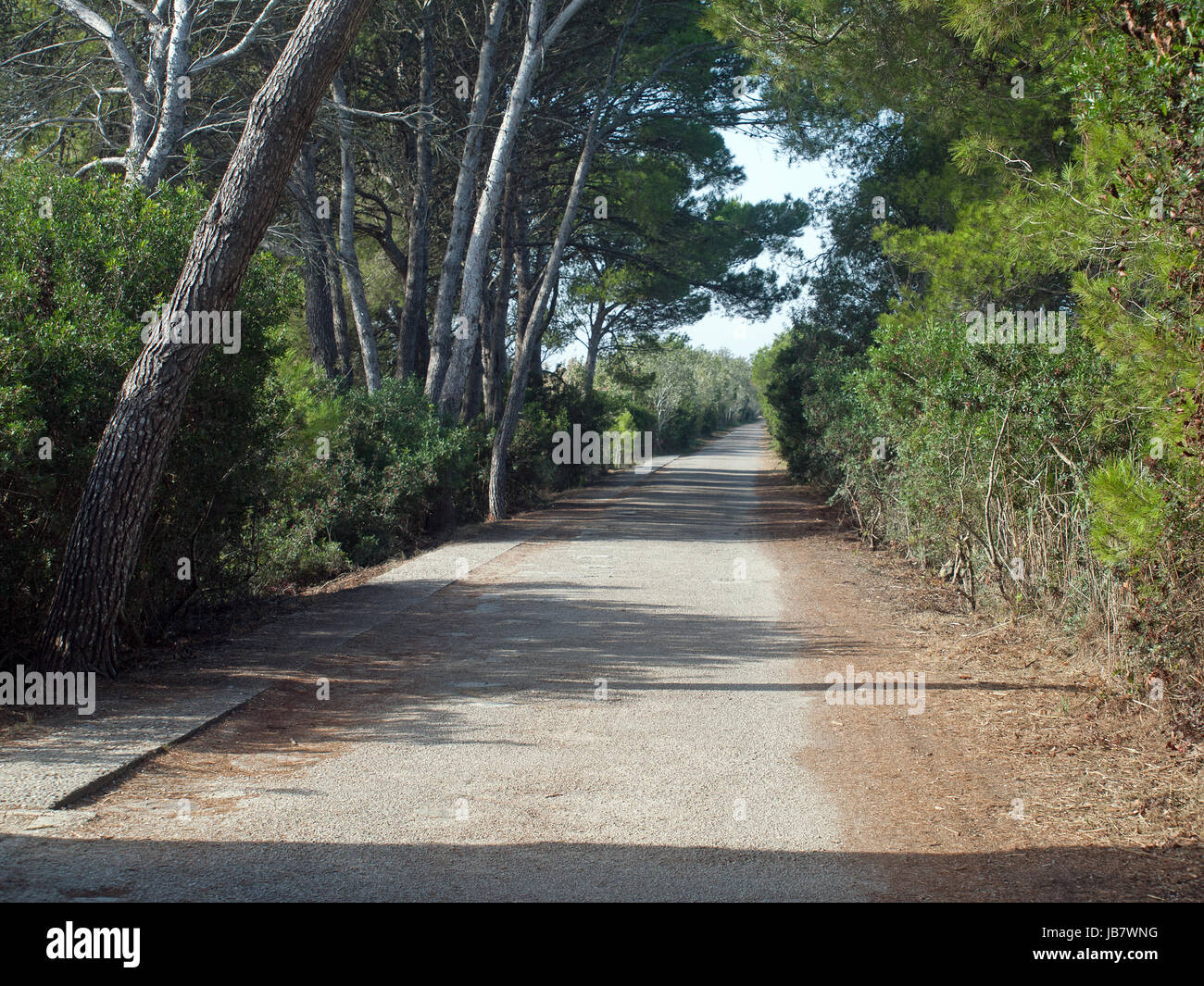 lonely staße mallorca Stock Photo - Alamy