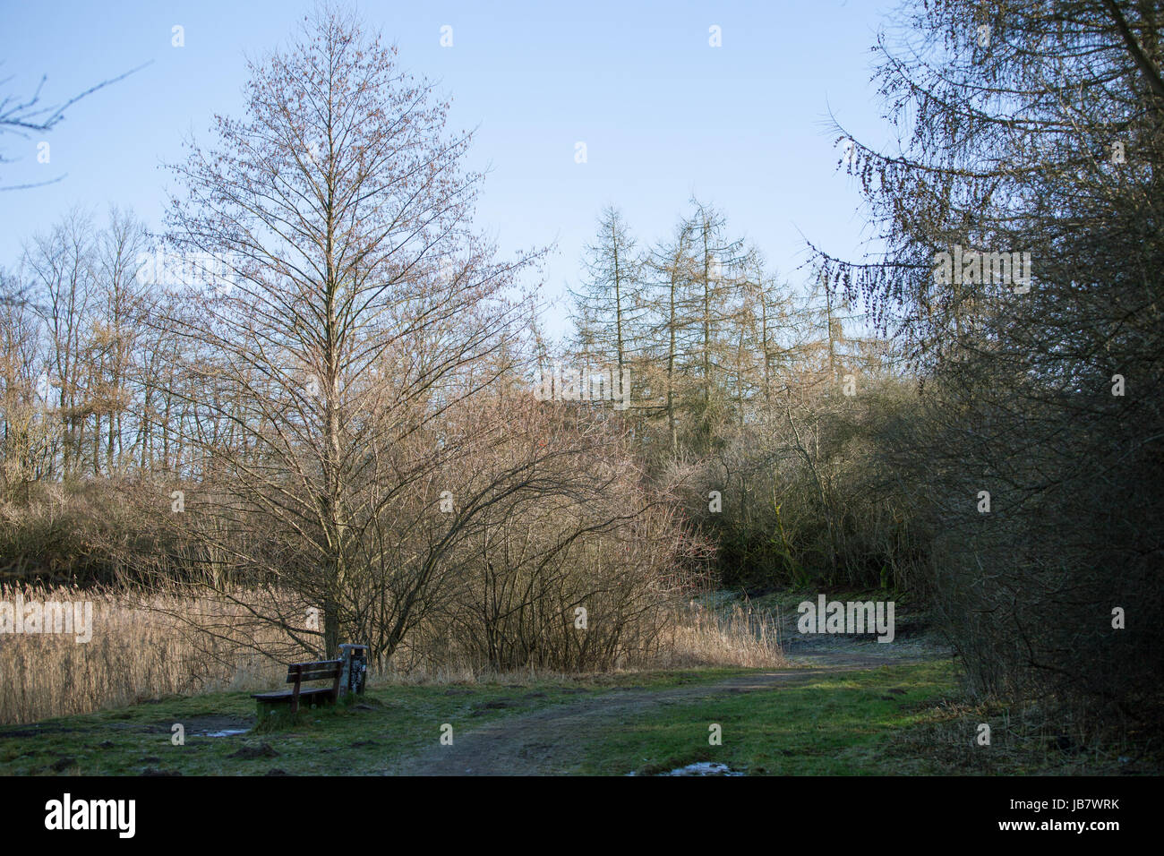 baltic sea salt water Stock Photo - Alamy