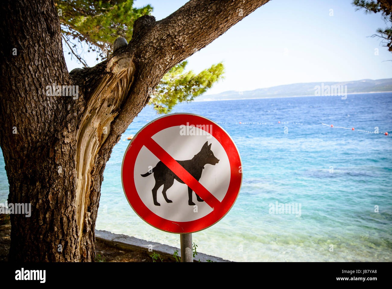 Dogs banned from beach sign hi-res stock photography and images - Alamy