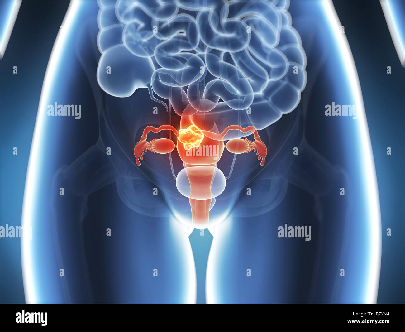 Uterus 3d High Resolution Stock Photography and Images - Alamy