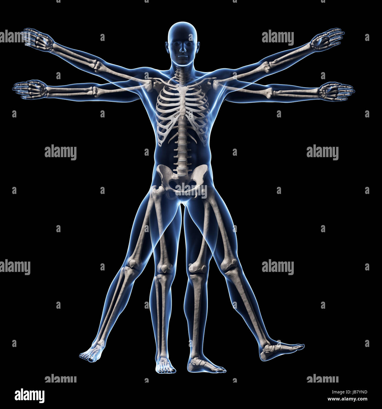 Vitruvian Man Stock Photos & Vitruvian Man Stock Images - Alamy