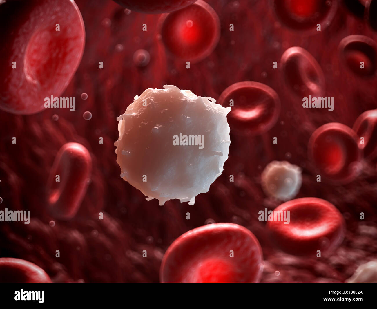 3d rendered illustration of a white blood cell Stock Photo - Alamy
