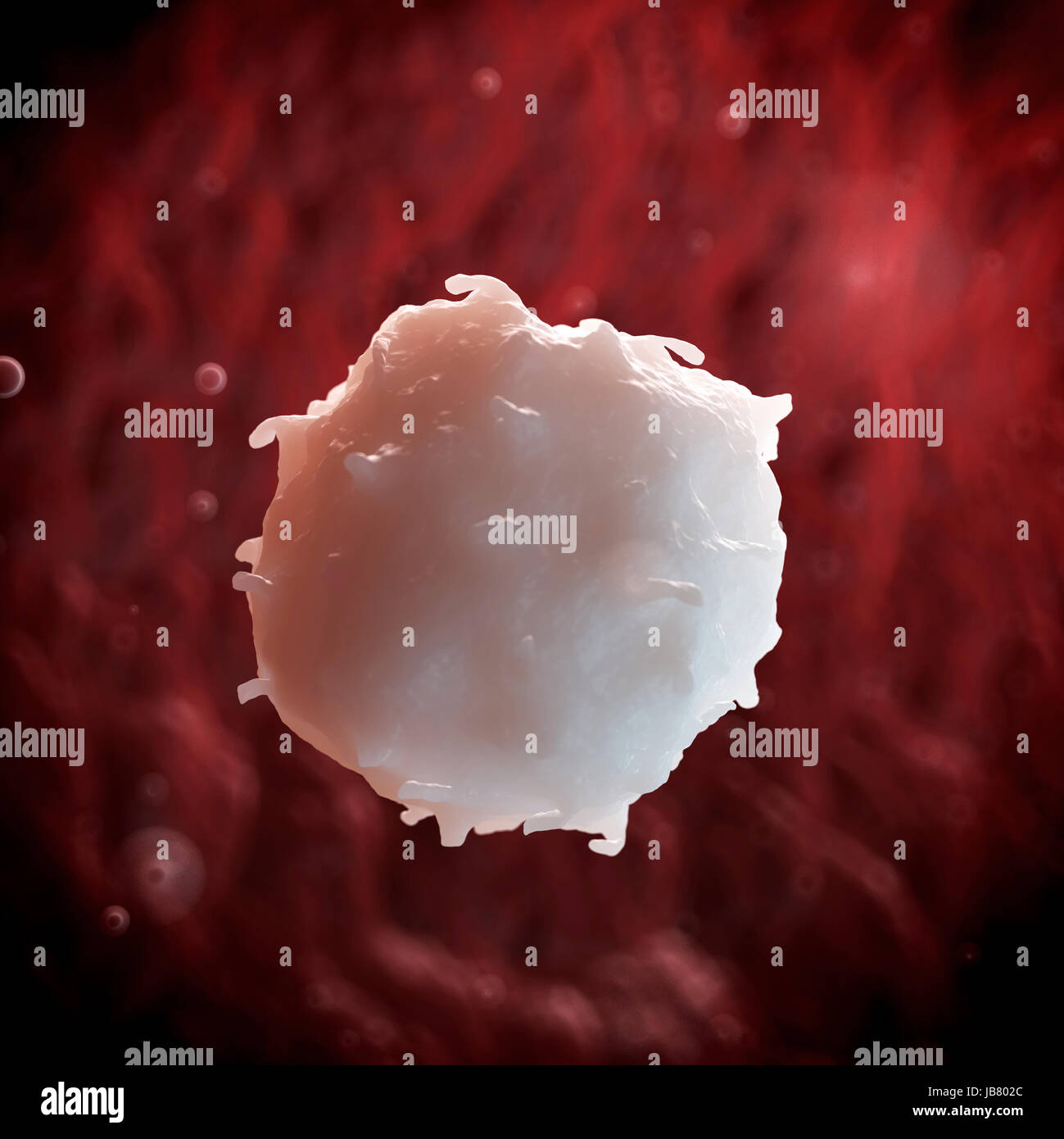 3d rendered illustration of a white blood cell Stock Photo - Alamy