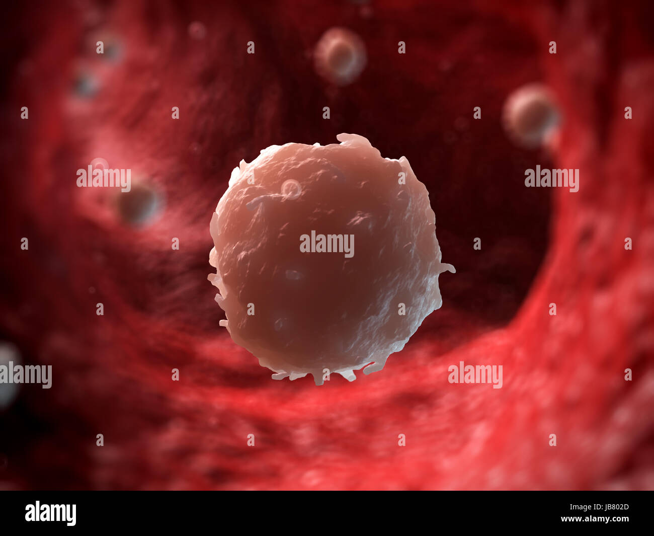 3d rendered illustration of a white blood cell Stock Photo - Alamy