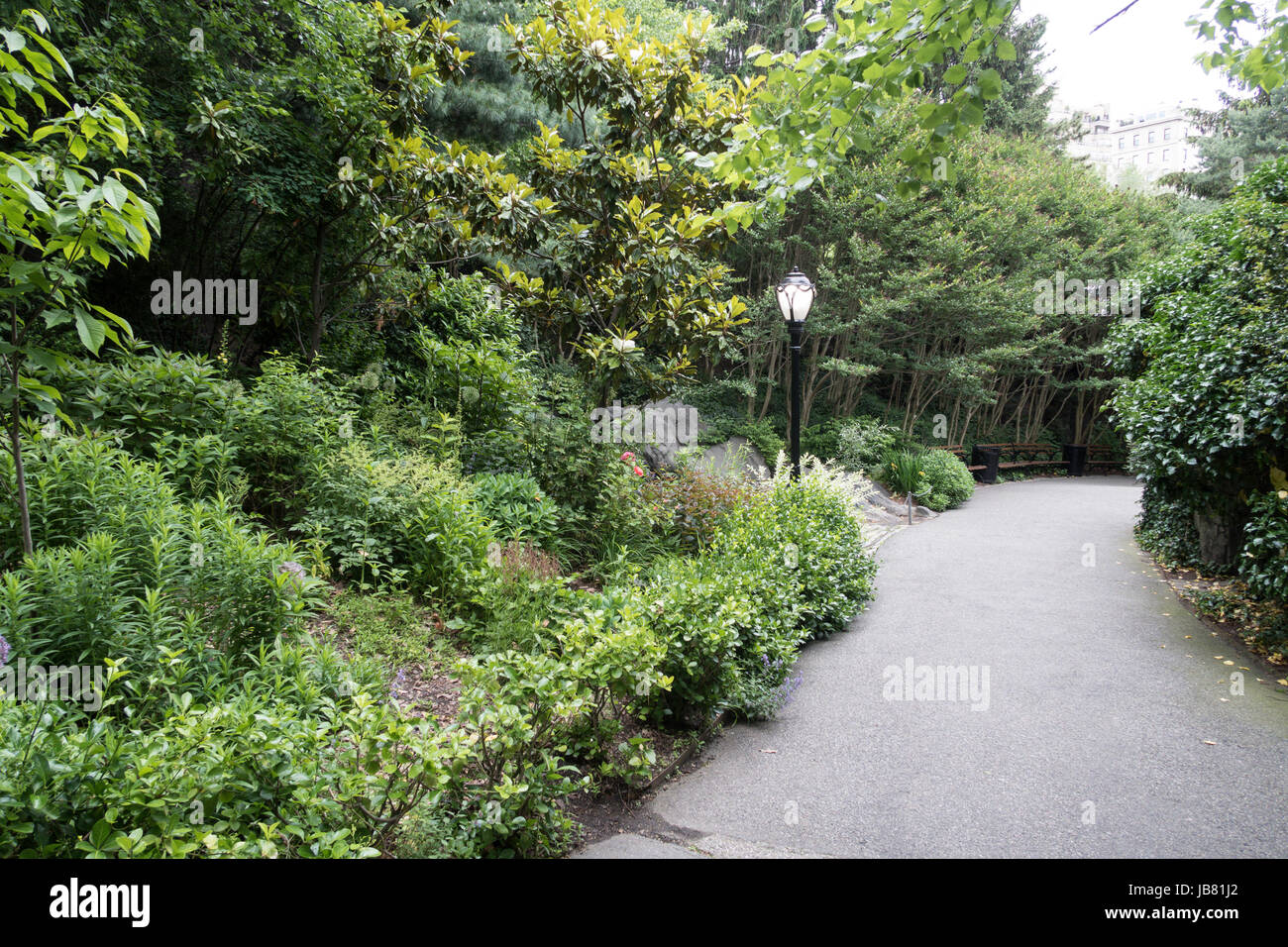 Tranquil Pathway in the Central Park Zoo, NYC, USA Stock Photo - Alamy