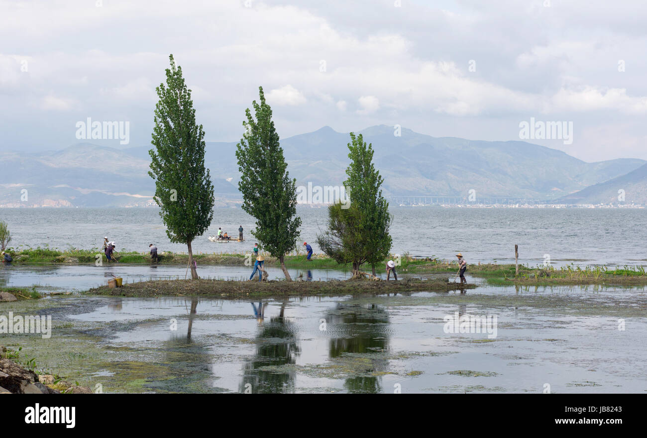 Fisherman on er hai lake hi-res stock photography and images - Alamy