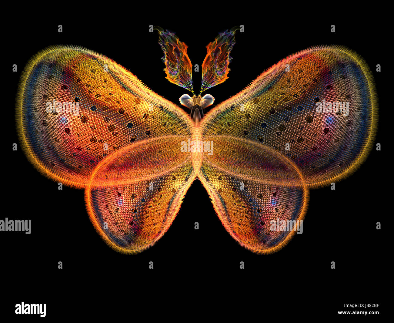 Never Were Butterflies series. Design made of isolated butterfly ...