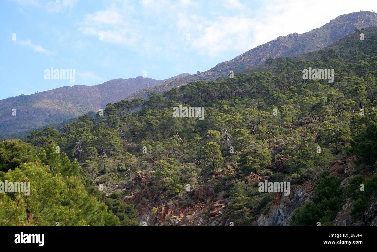 spring natural preserve Stock Photo - Alamy