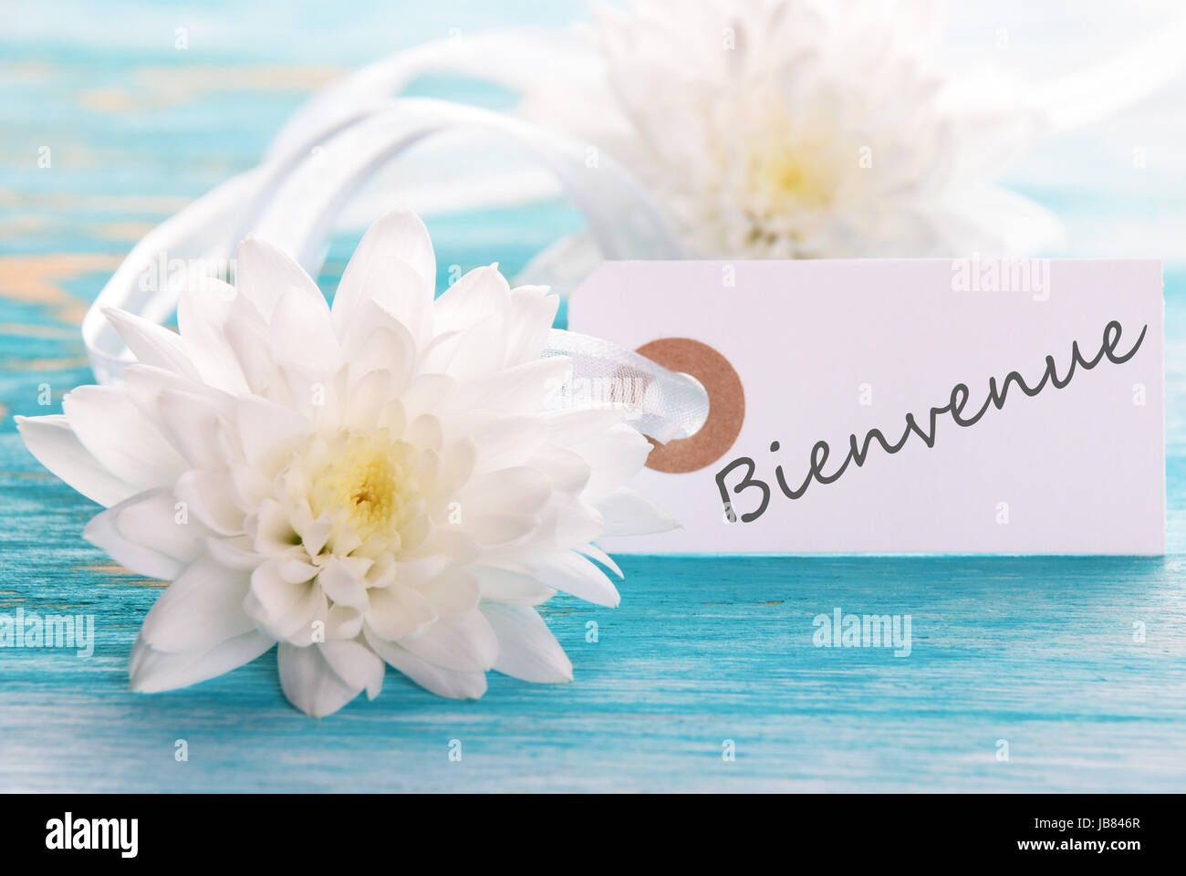 Banner with the French Word Bienvenue which means Welcome Stock Photo ...