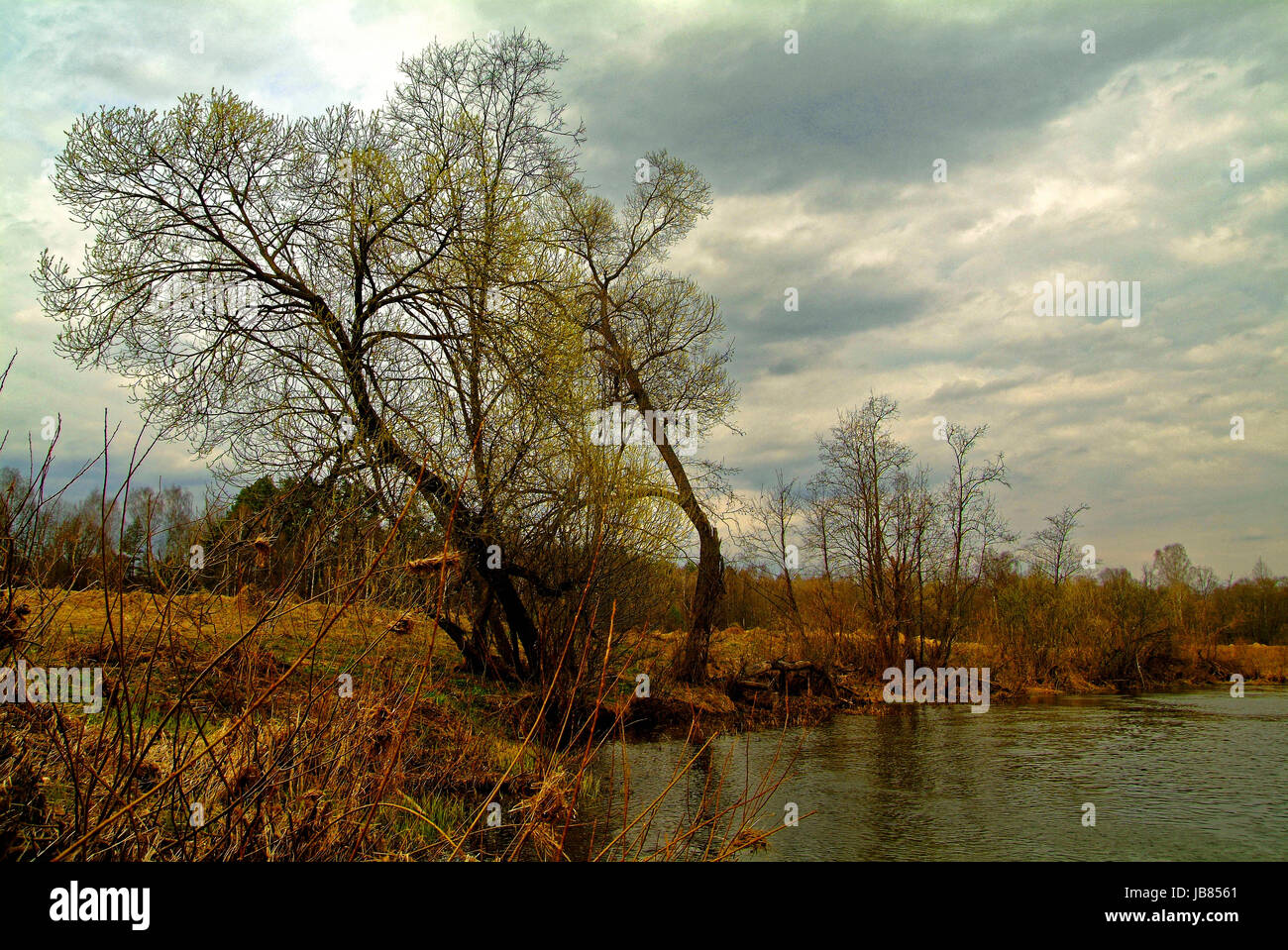 river in spring, Kaluga oblast, the river Shan Stock Photo - Alamy