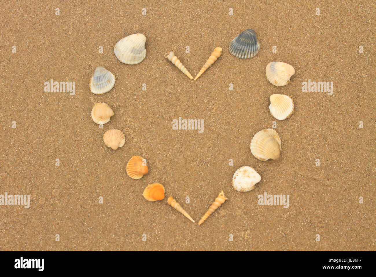 love heart made of shells on beach background concept image Stock Photo ...