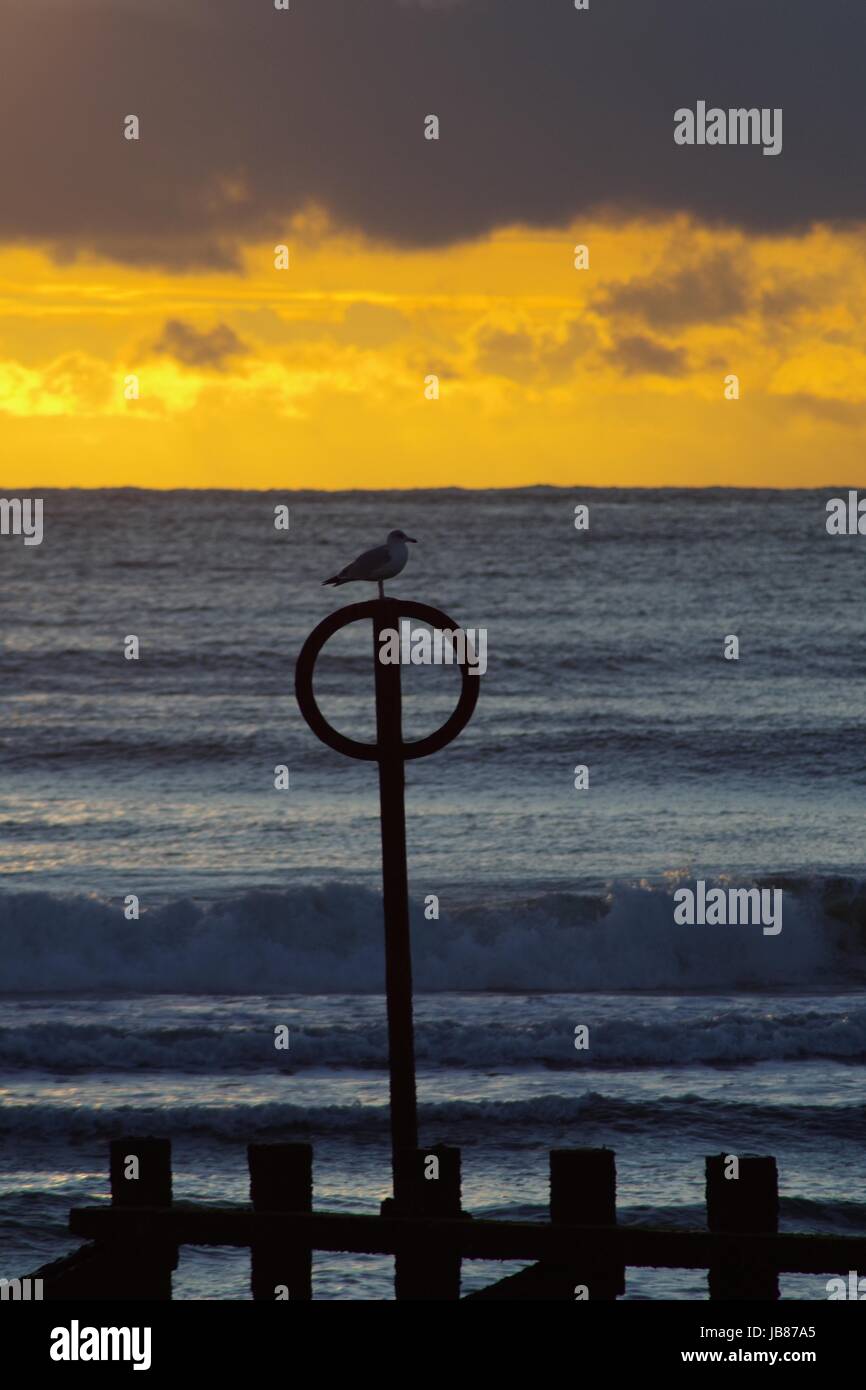 Golden Spring Sunrise above the North Sea. Aberdeen Beach, Scotland ...