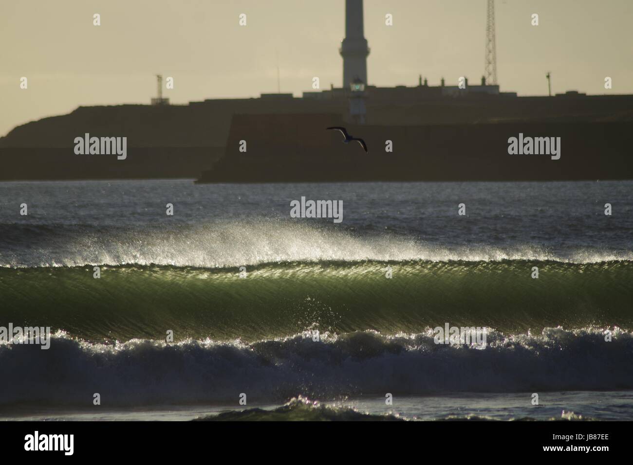 Longitudinal wave hi-res stock photography and images - Alamy