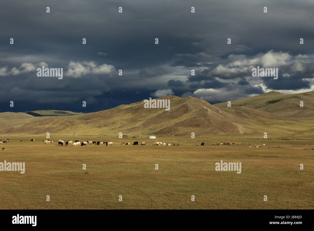 Nationalpark orkhon hi-res stock photography and images - Alamy