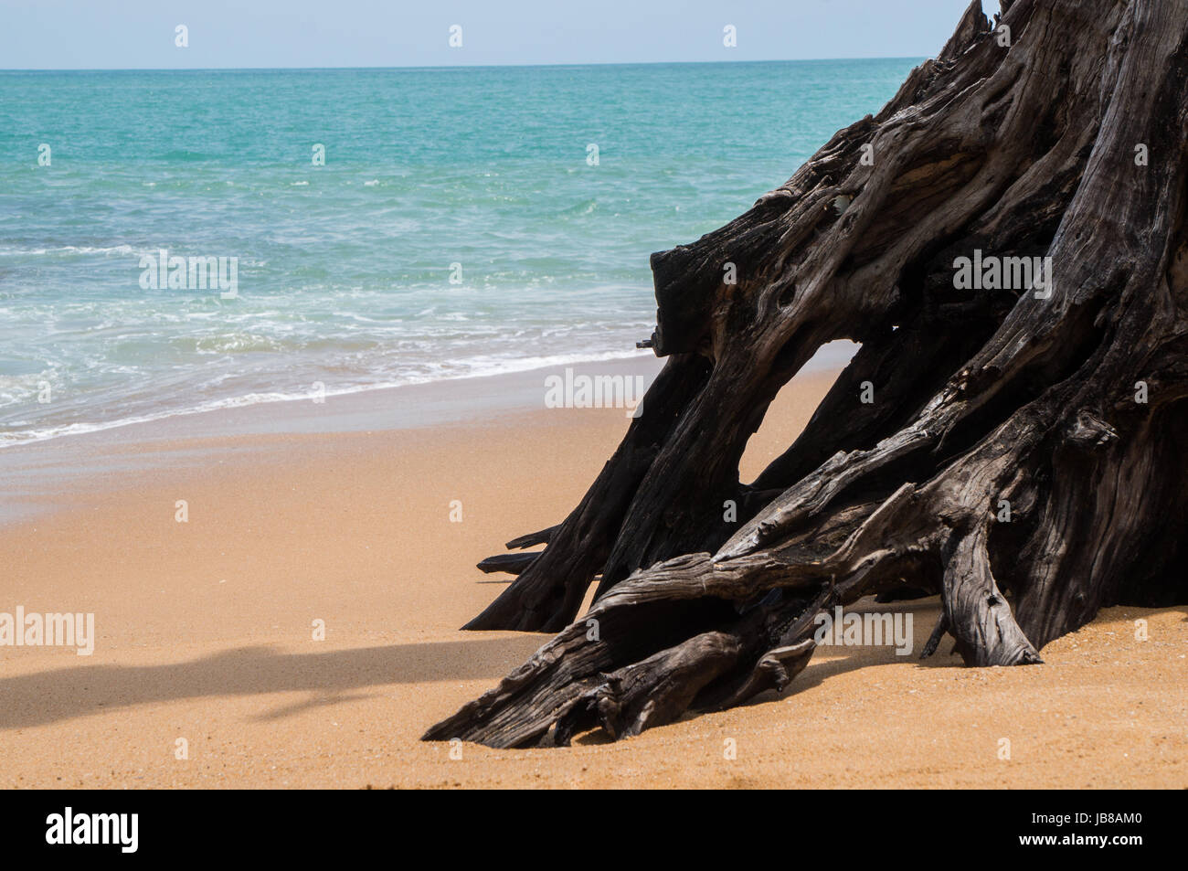 Stick All Alone On Beach Sand High Resolution Stock Photography and ...