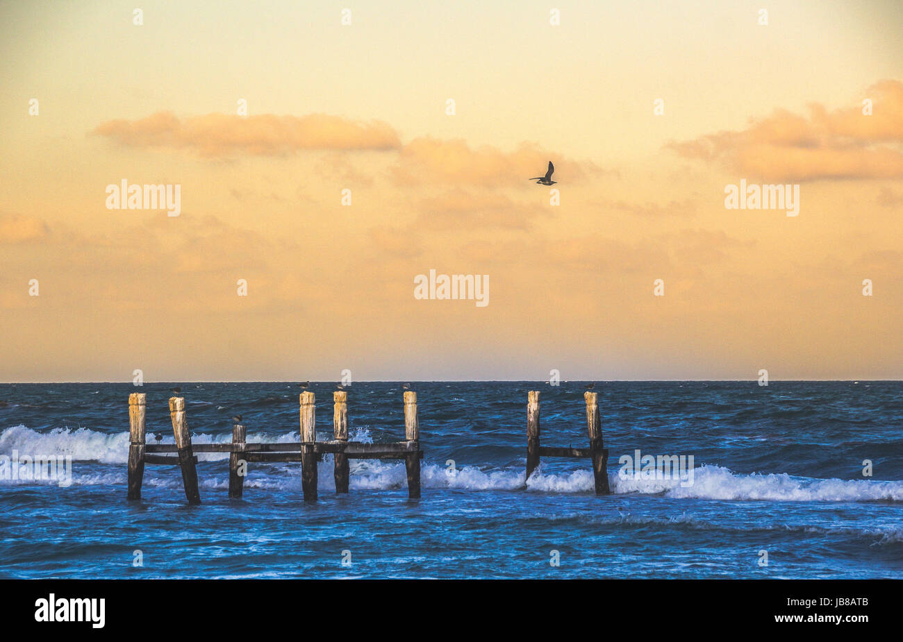 Photograph of an old dock in the ocean Stock Photo - Alamy