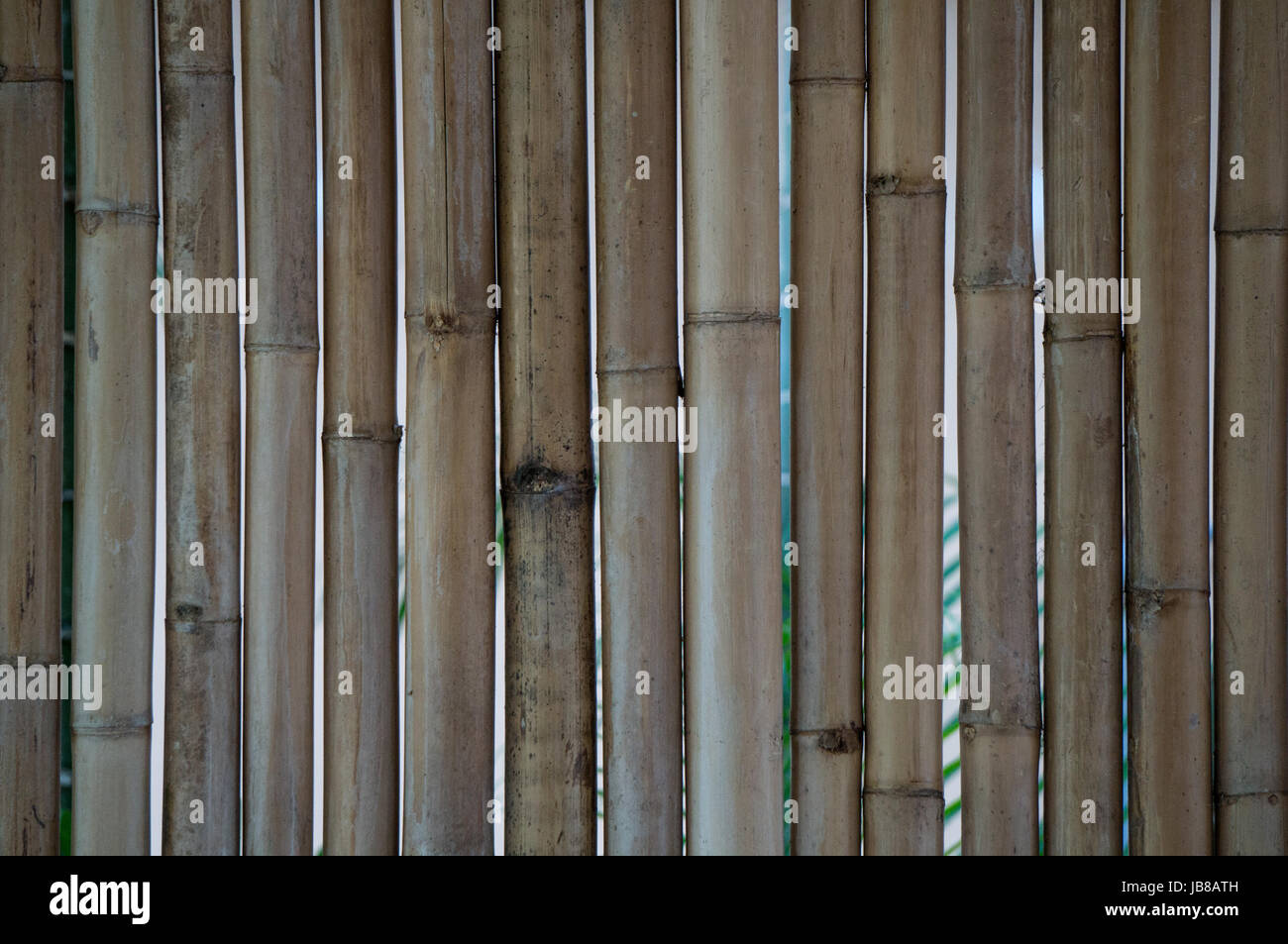 Bamboo fence close up Stock Photo - Alamy