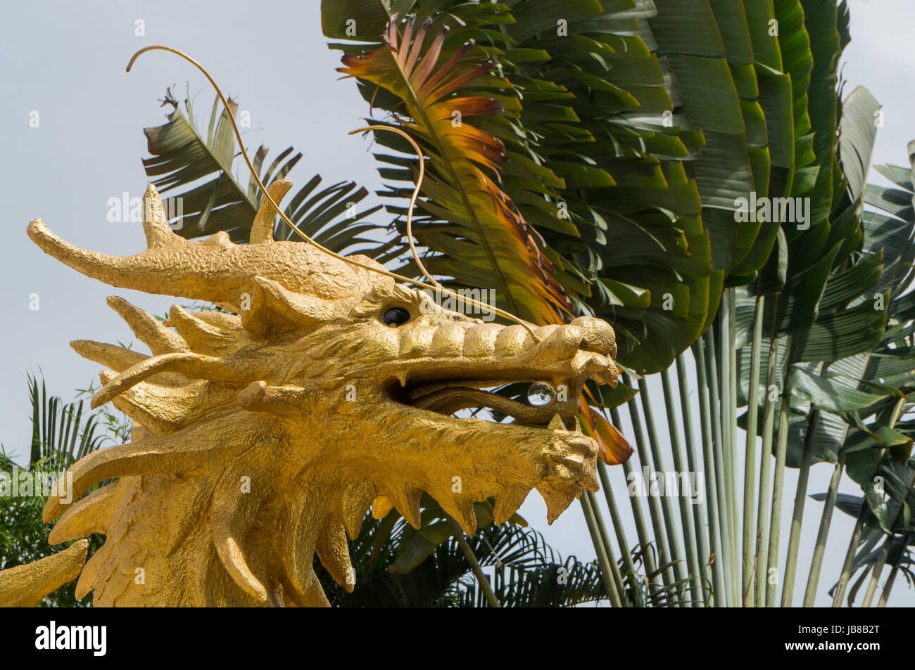 Golden dragon head with palm leaves in the background Stock Photo - Alamy
