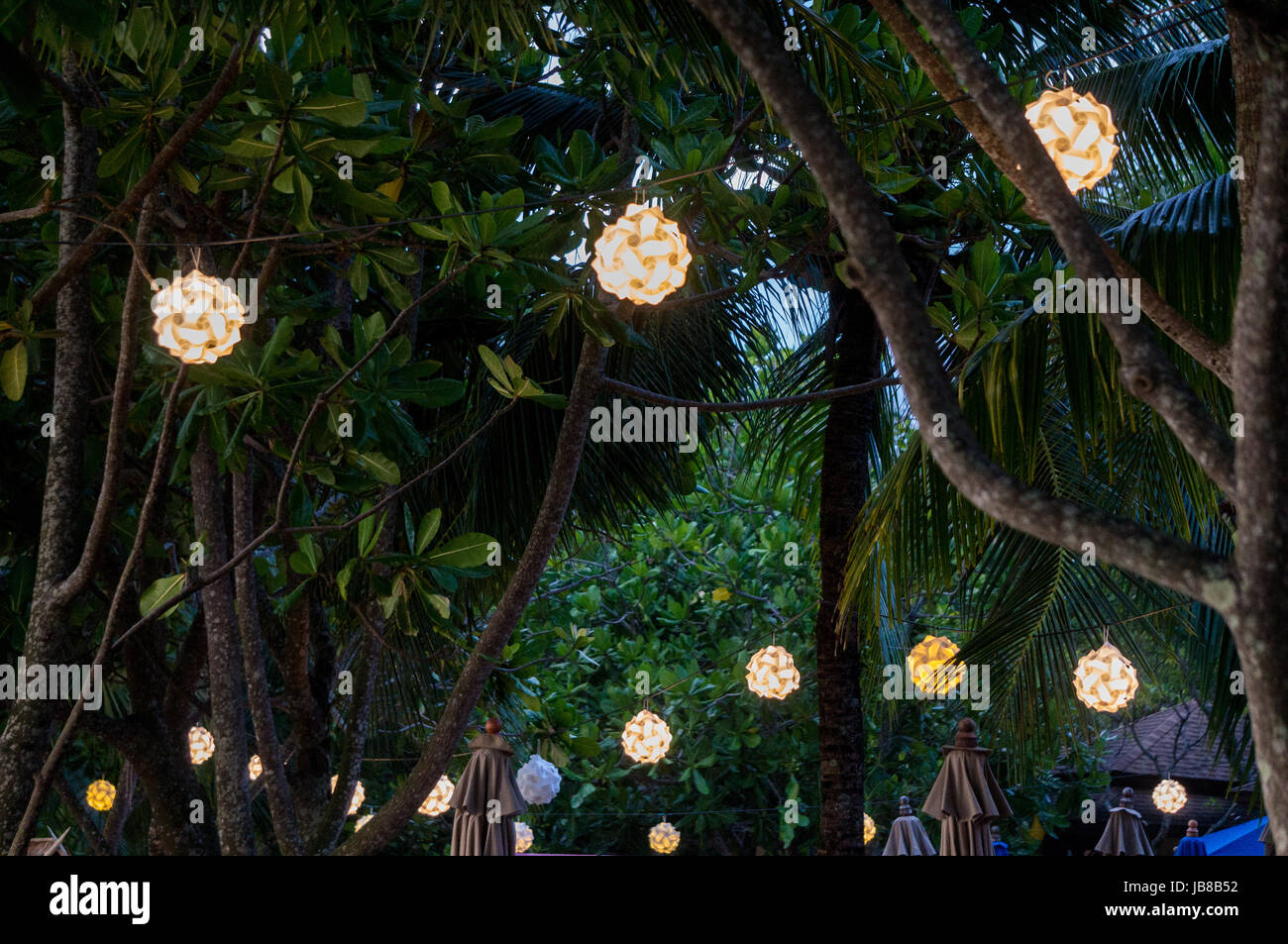 Hanging off trees hi-res stock photography and images - Alamy