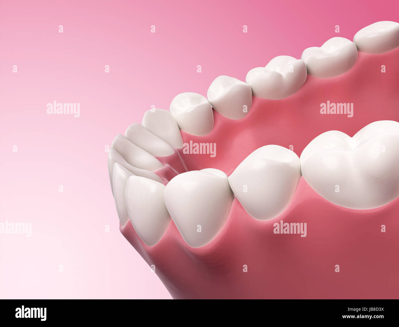 3d rendered illustration - lower teeth Stock Photo - Alamy