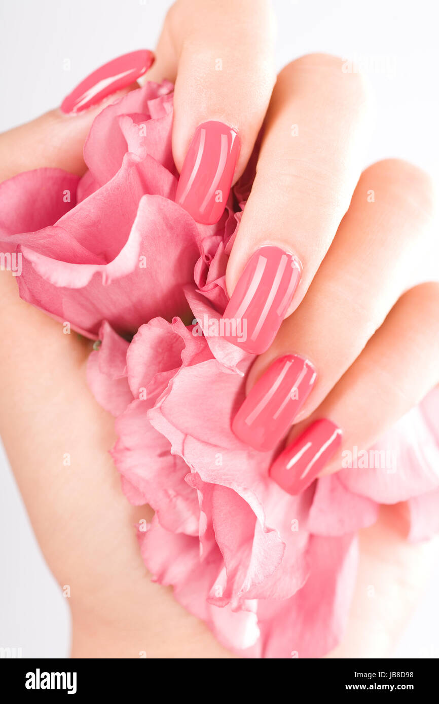 Beautiful woman hands with rose Stock Photo - Alamy