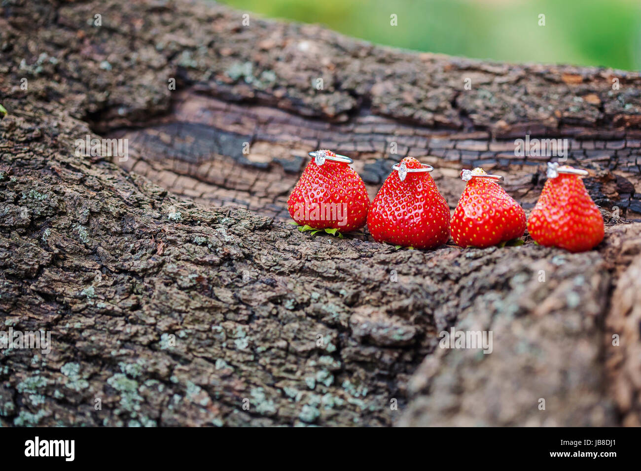 Sweet strawberry wedding rings Stock Photo - Alamy