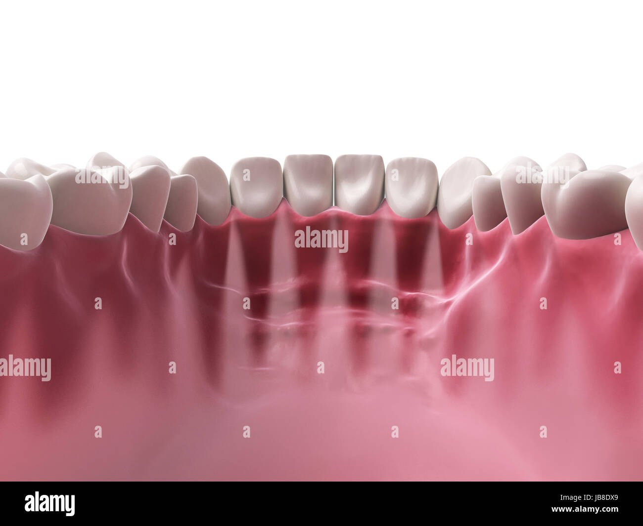 3d rendered illustration - lower teeth Stock Photo - Alamy