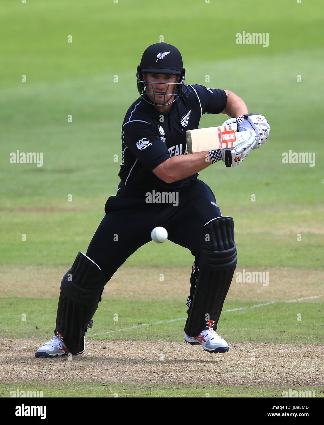 New zealands neil broom hi-res stock photography and images - Alamy