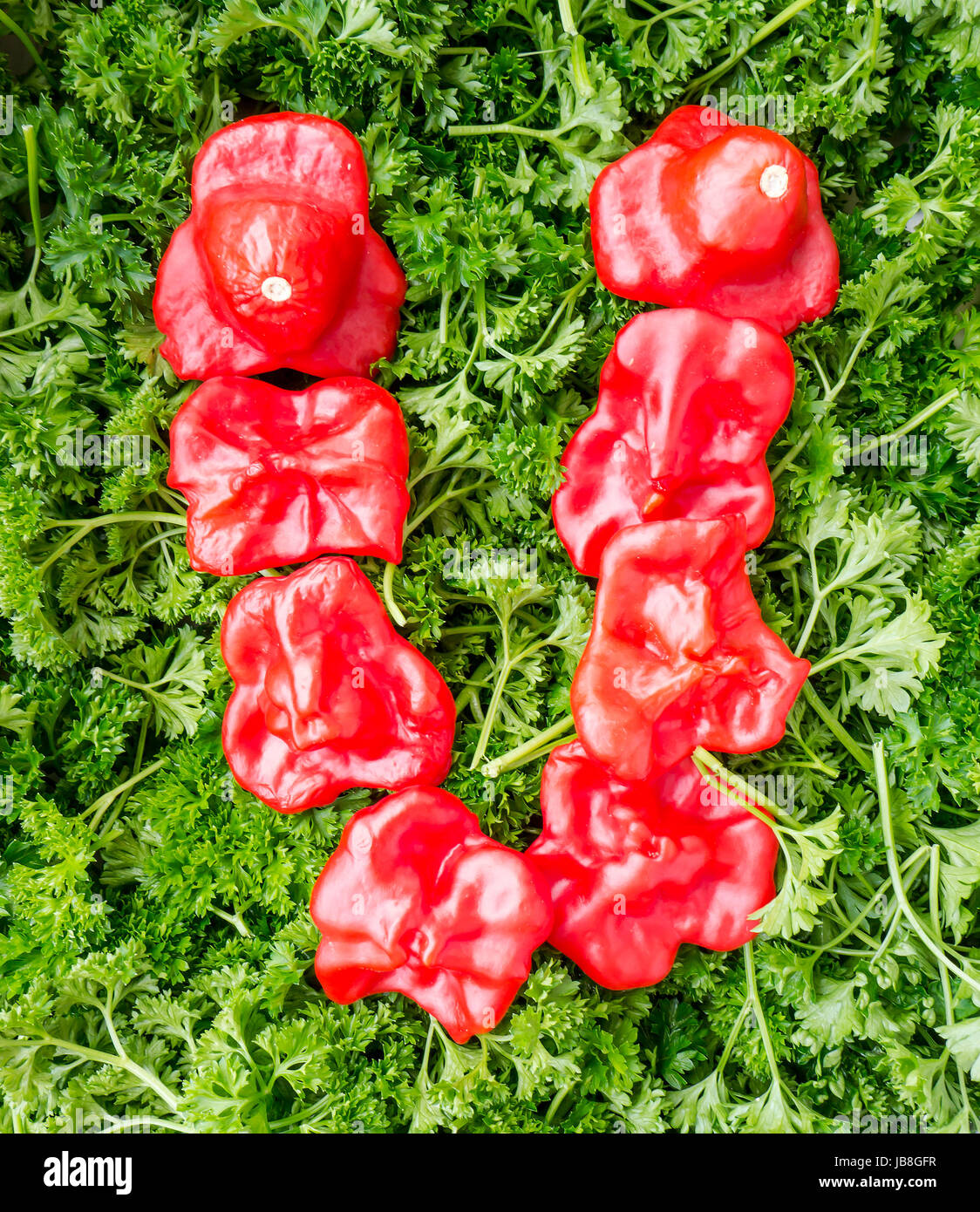 Initials letter V from pepper and parsley Stock Photo - Alamy