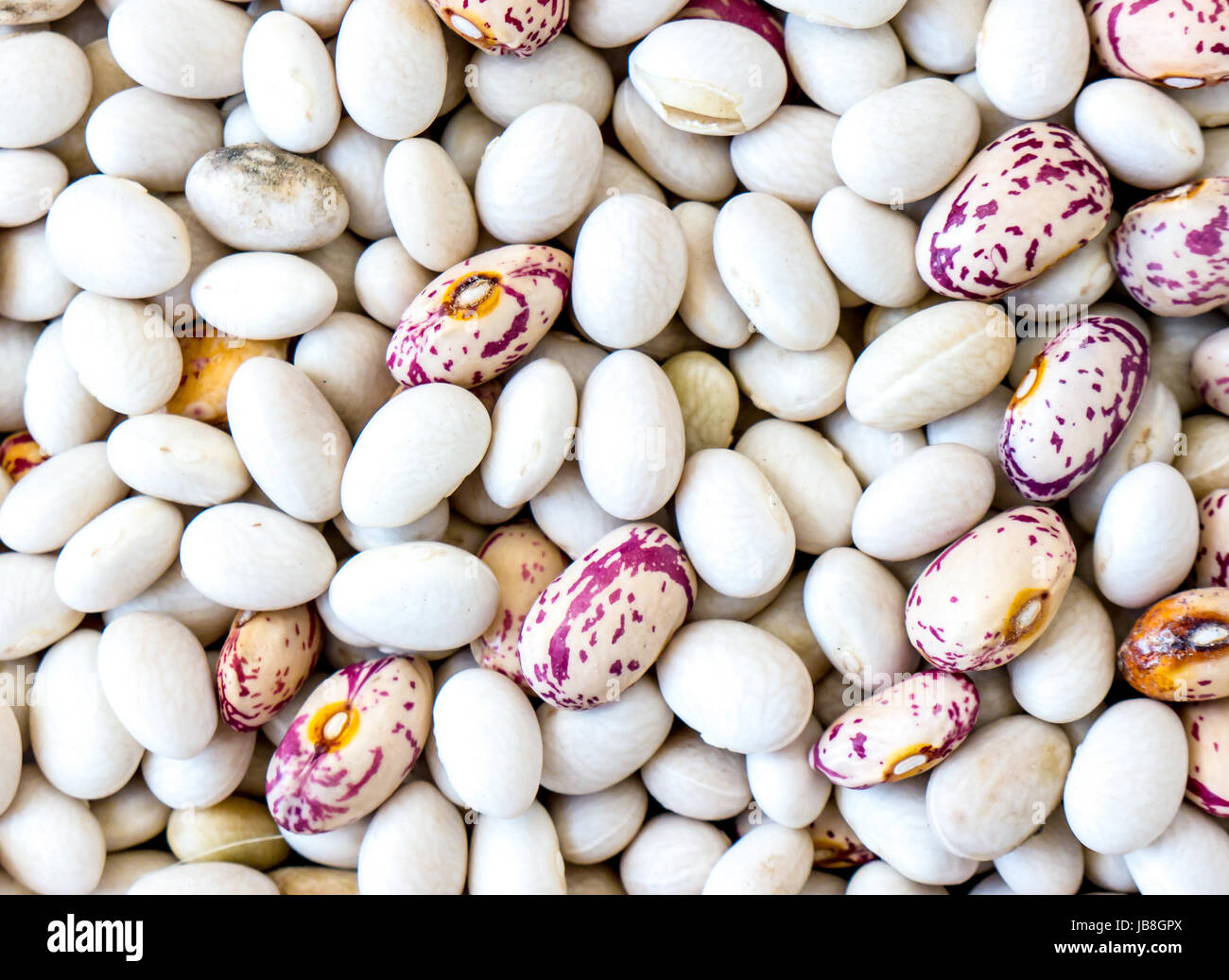 The nature Beans background and texture Stock Photo - Alamy