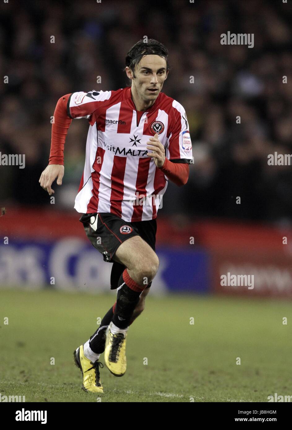 Daniel bogdanovic hi-res stock photography and images - Alamy