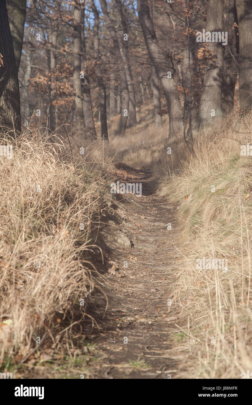 Trampelpfad hi-res stock photography and images - Alamy