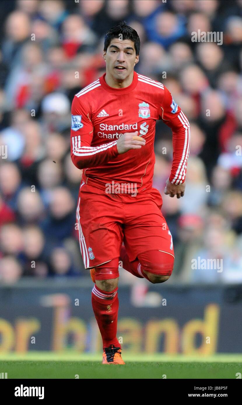 LUIS SUAREZ. LIVERPOOL FC LIVERPOOL FC ANFIELD LIVERPOOL ENGLAND 06 ...
