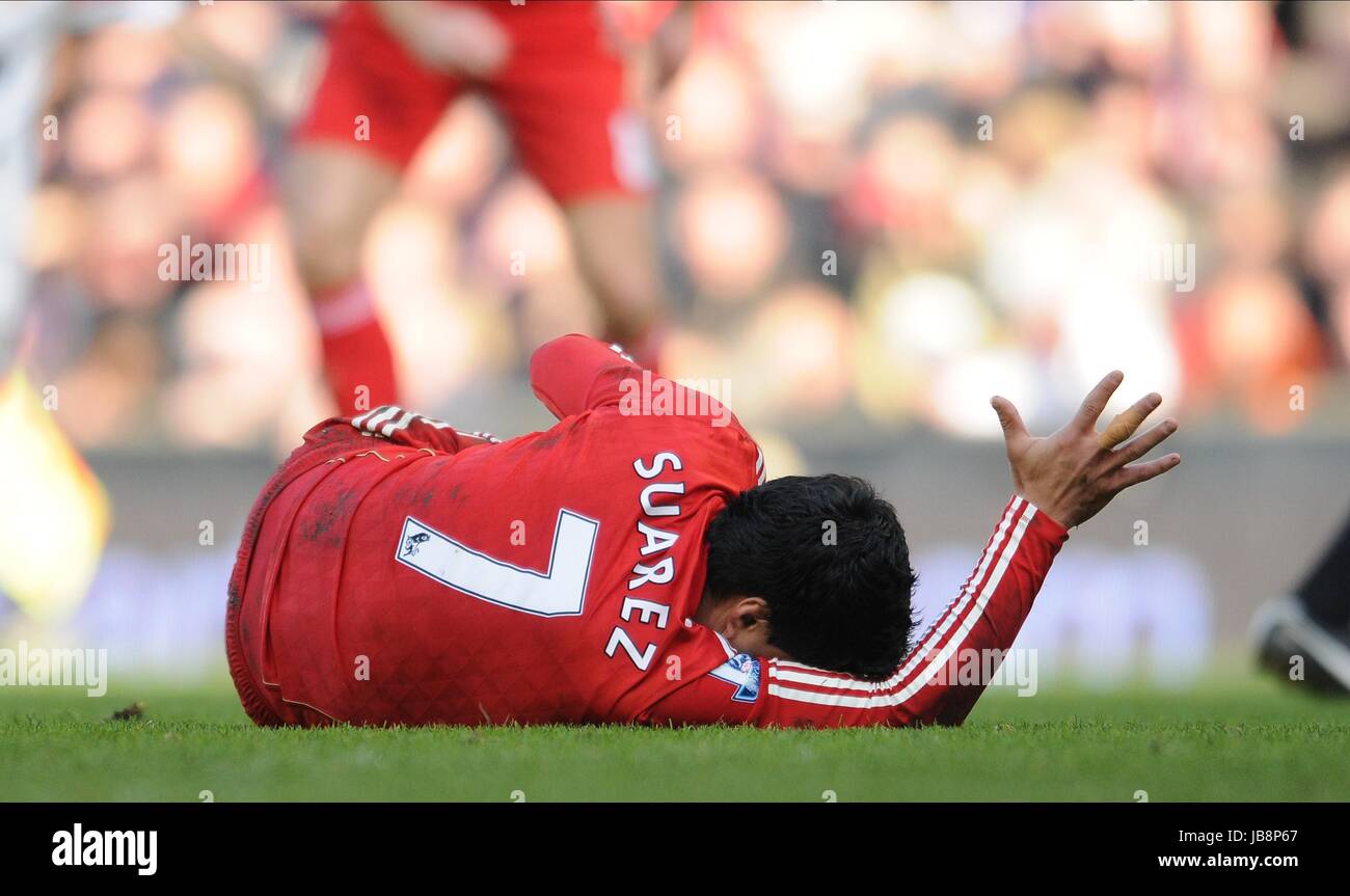 LUIS SUAREZ. LIVERPOOL FC LIVERPOOL FC ANFIELD LIVERPOOL ENGLAND 06 ...