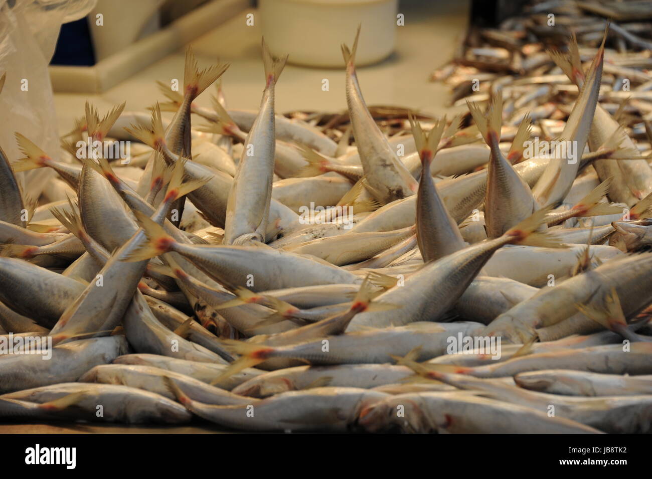 Fish boil cooks boiling hi-res stock photography and images - Alamy