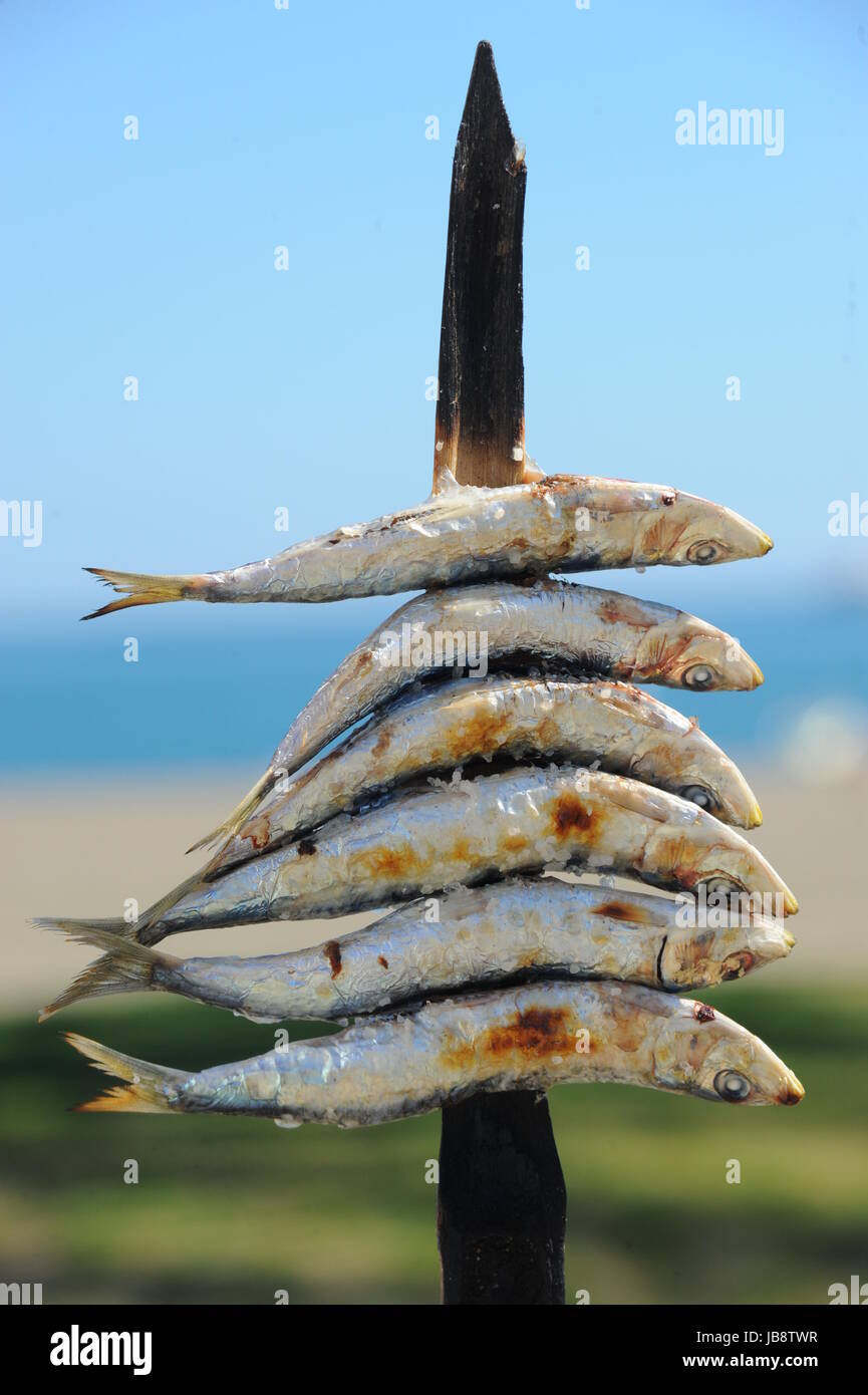 spain grilled fish Stock Photo - Alamy