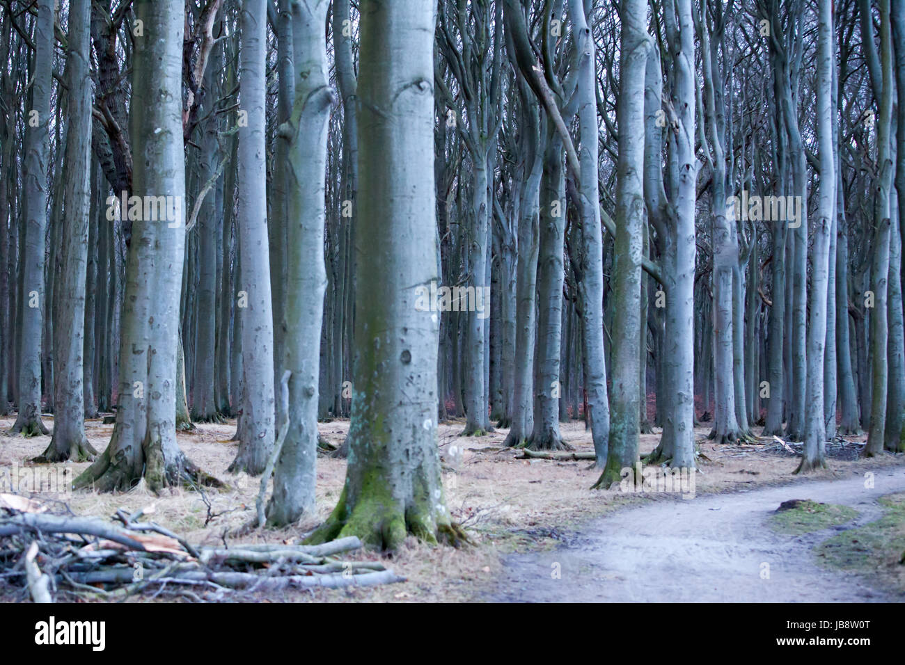 baltic sea salt water Stock Photo - Alamy