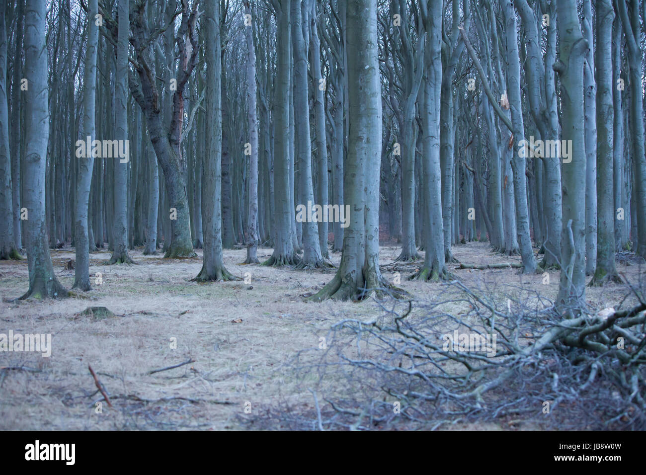 baltic sea salt water Stock Photo - Alamy
