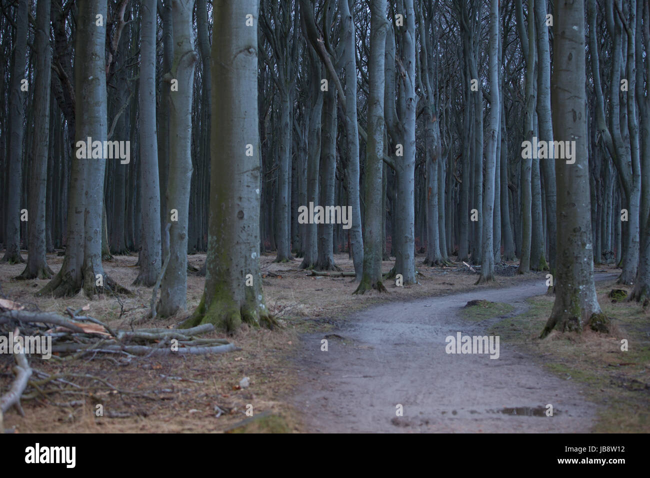baltic sea salt water Stock Photo - Alamy